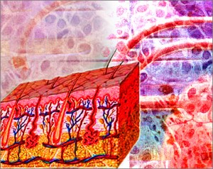 DAFREX symptoms related to veinolymphatic – Online Pharmacy