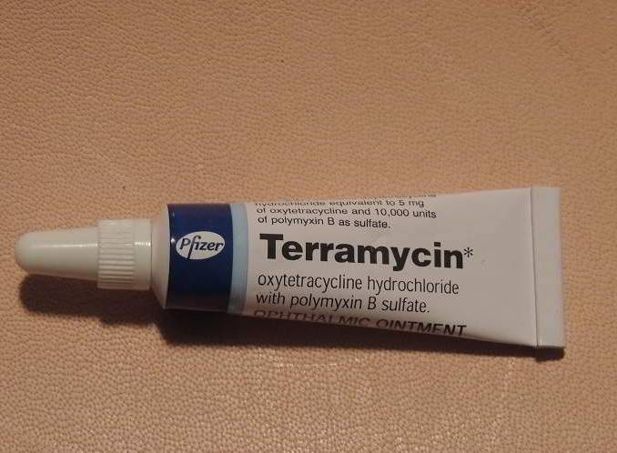 Terramycin is ophthalmic ointment is indicated in the treatment of ...